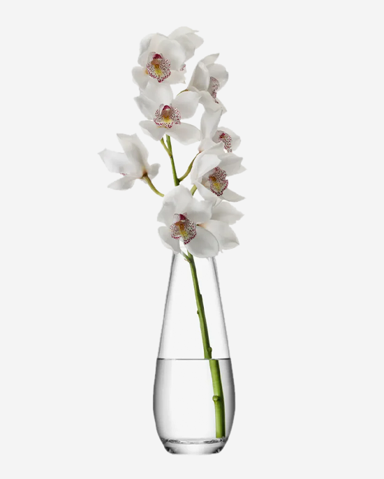 LSA Flower Tall Stem Vase Clear – Jashanmal